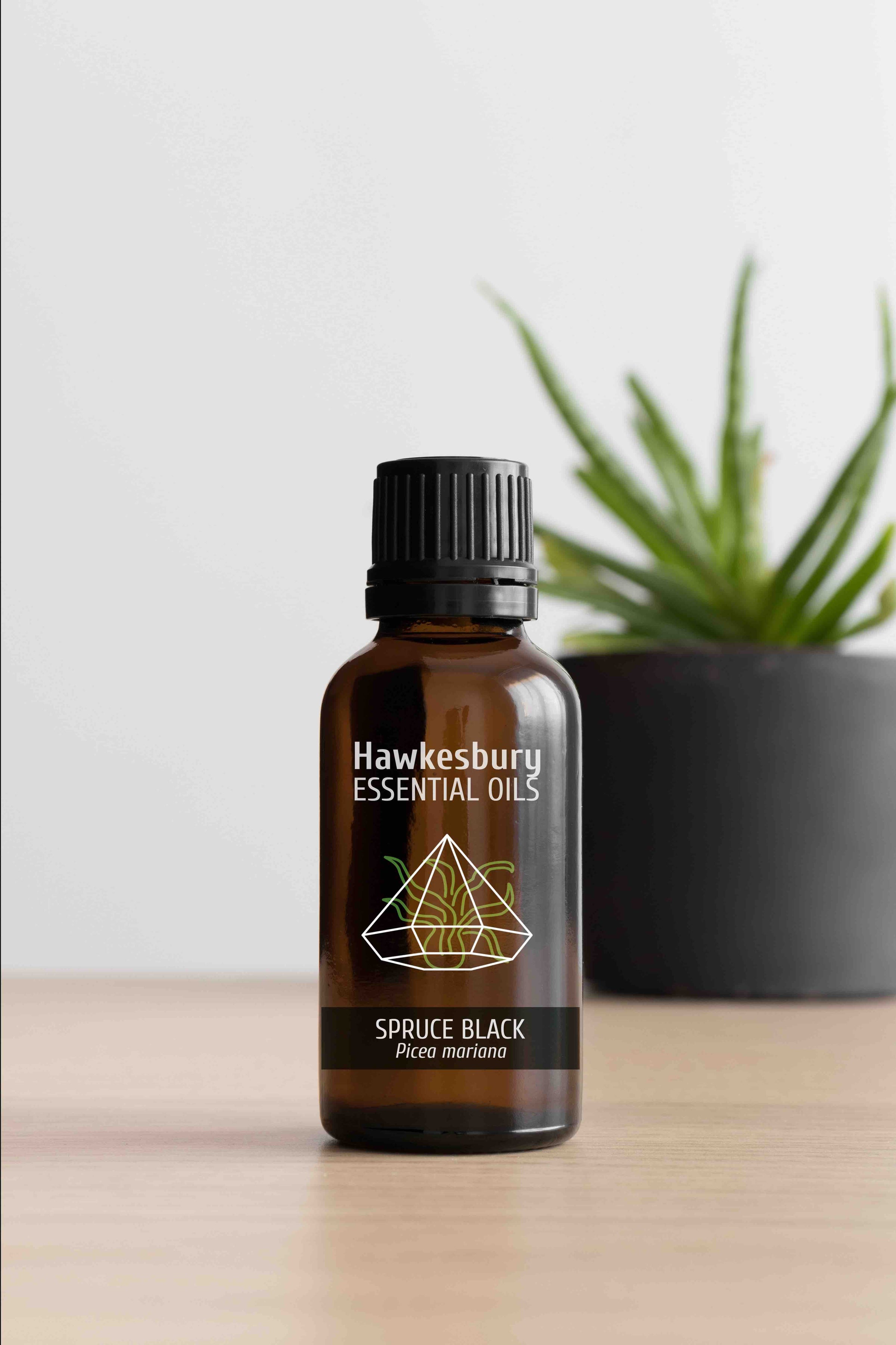 Spruce Black Essential Oil | Hawkesbury Air Plants