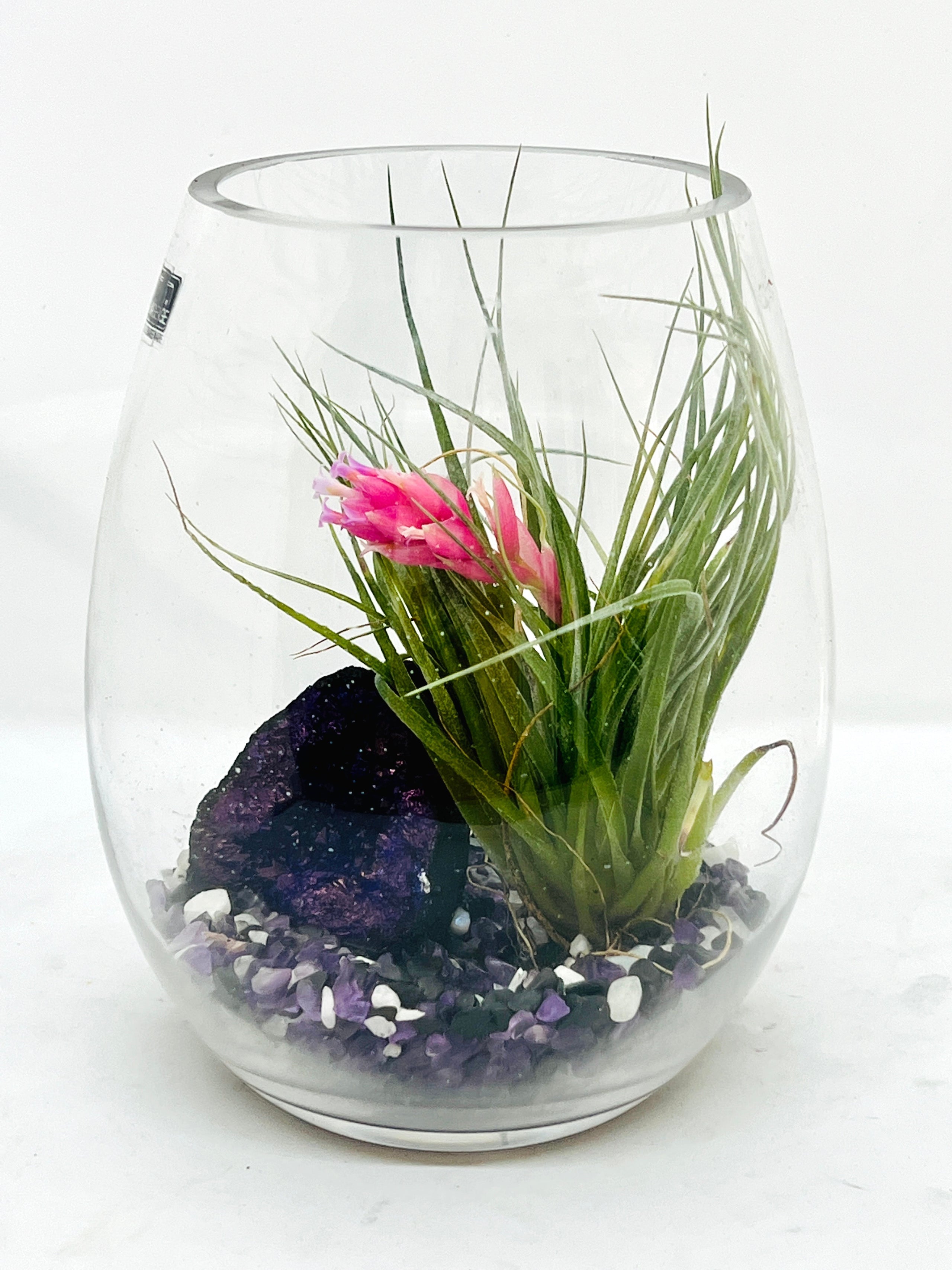 Geode, Amethyst & Rainbow Moonstone Terrarium | Hawkesbury Air Plants