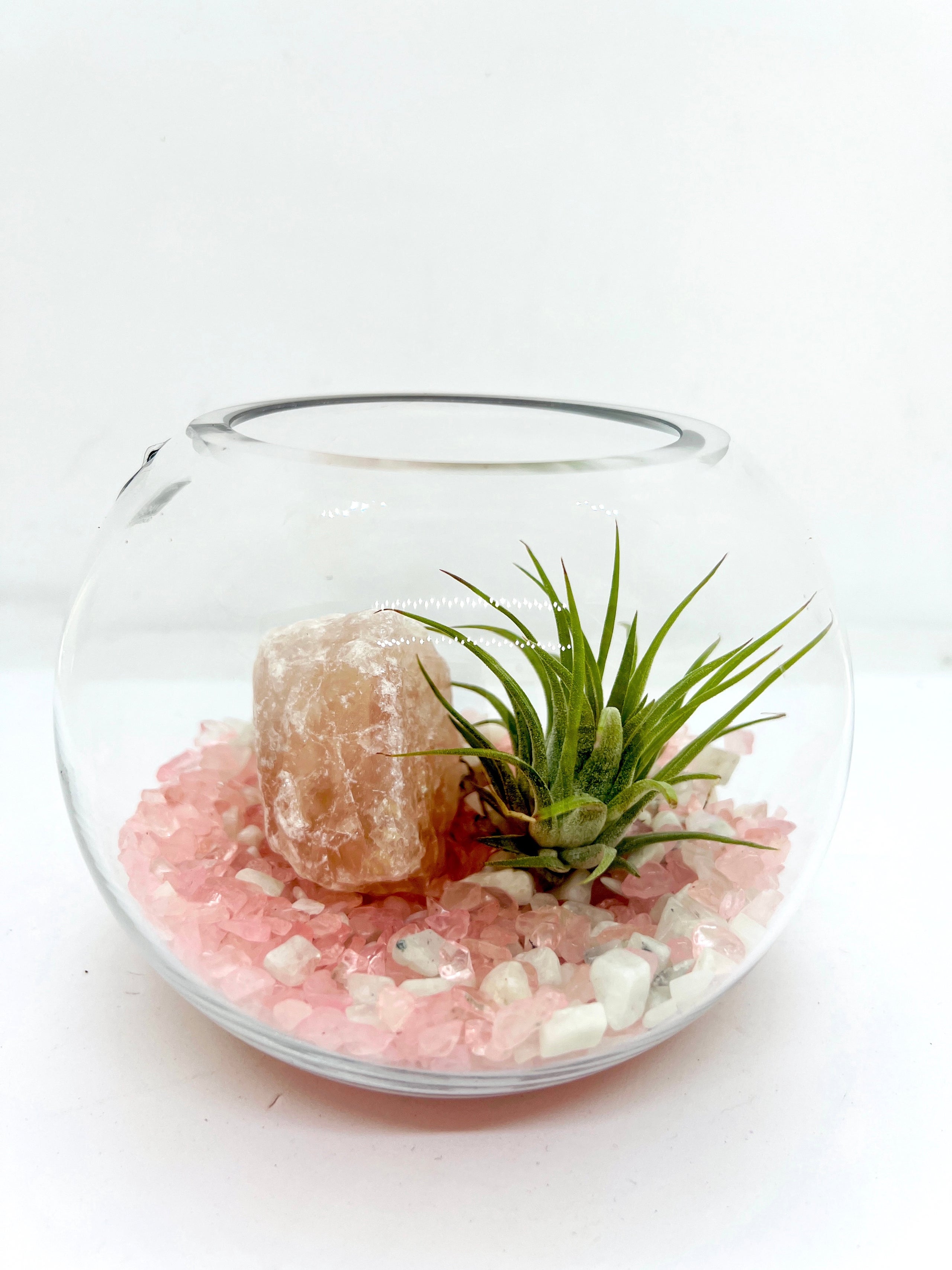 Rose Quartz & Rainbow Moonstone Medium Fish Bowl | Hawkesbury Air Plants